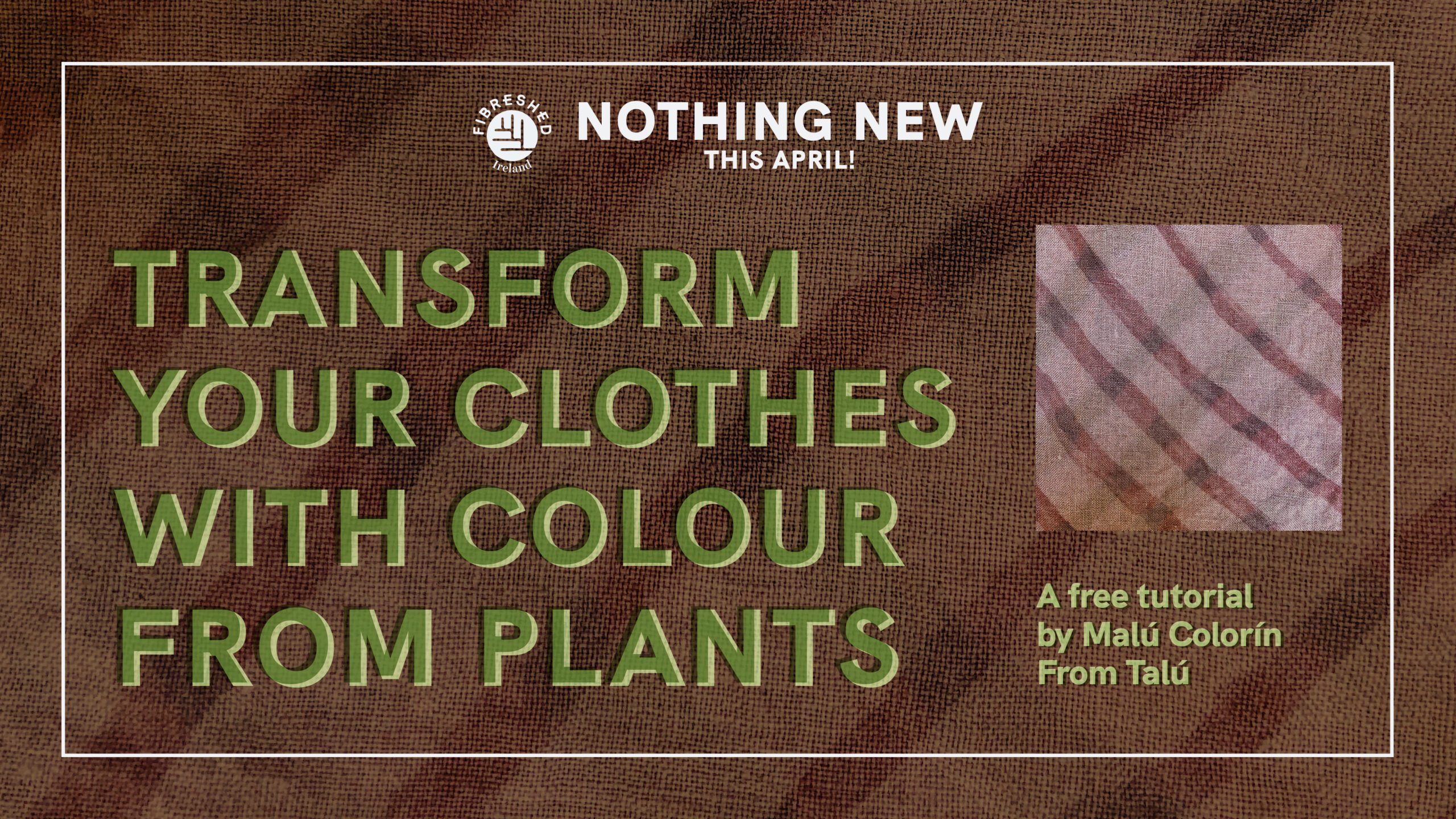 'Transform your clothes with colour from plants' tutorial recording ...